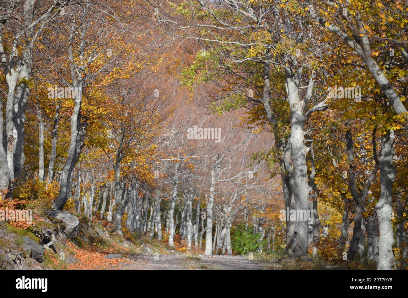 Iberian system moncayo hi-res stock photography and images - Alamy