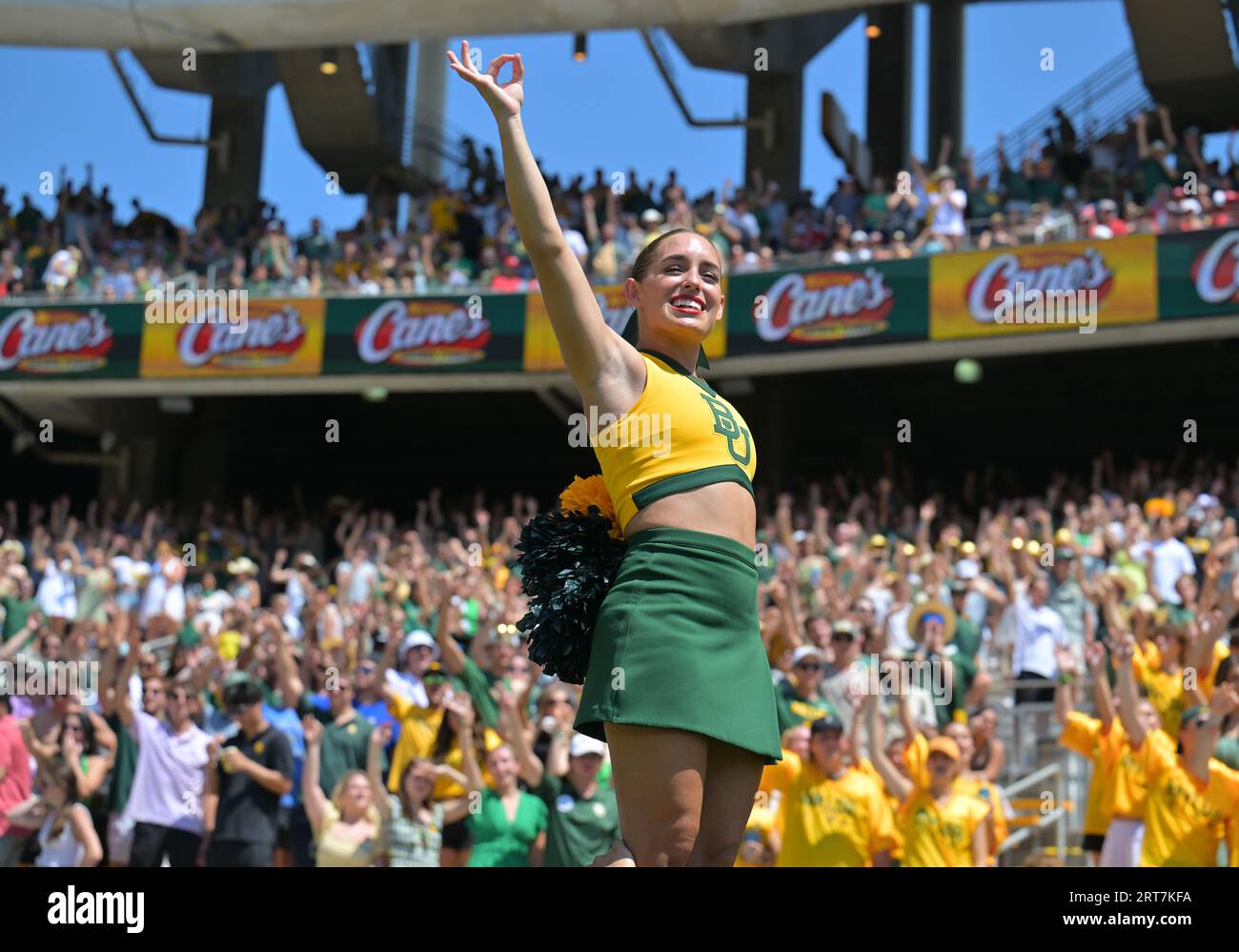 September 9 2023: Baylor Bears cheerleaders during the 2nd half of the ...