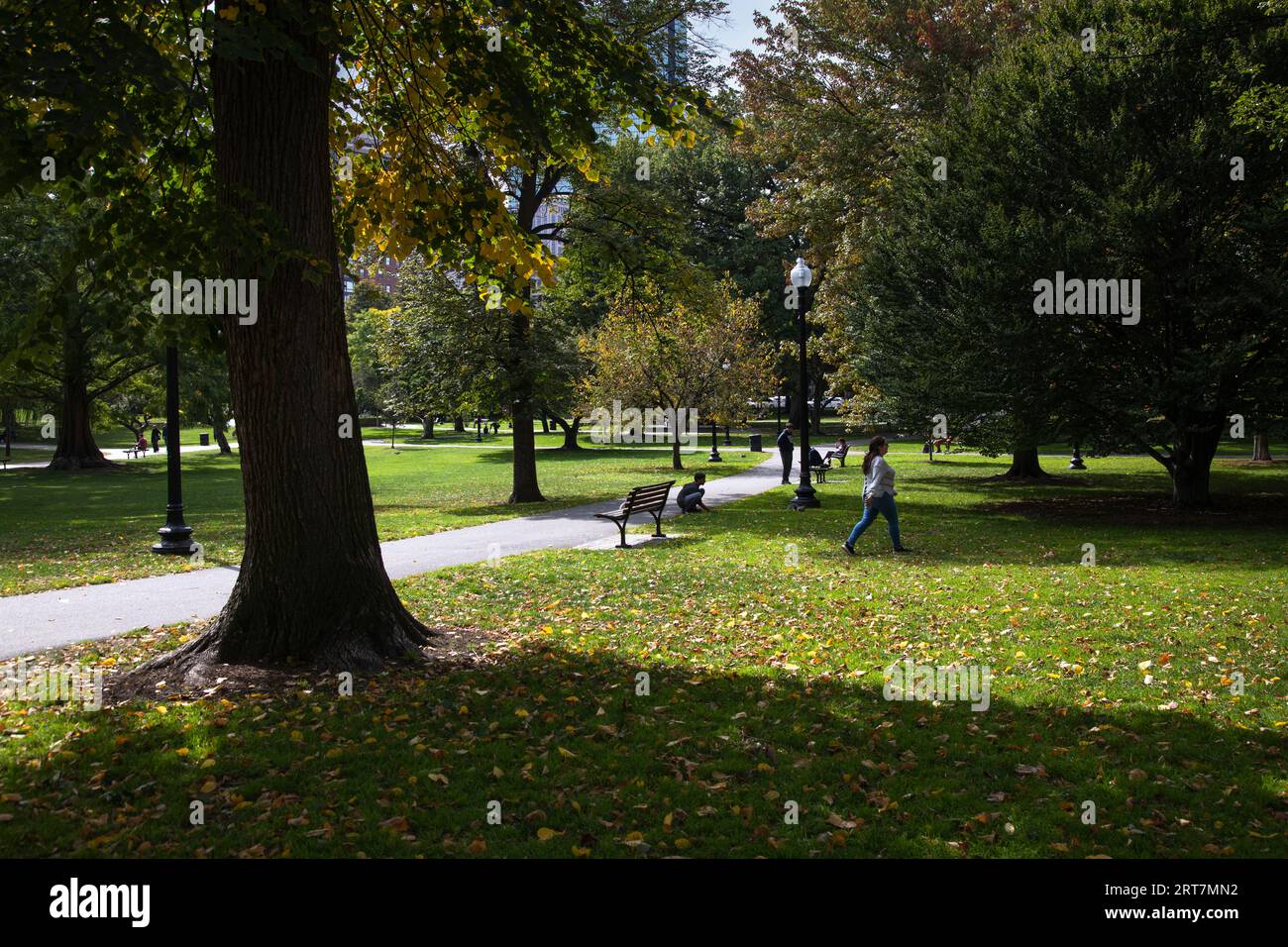 Summer in boston common park hi-res stock photography and images - Alamy