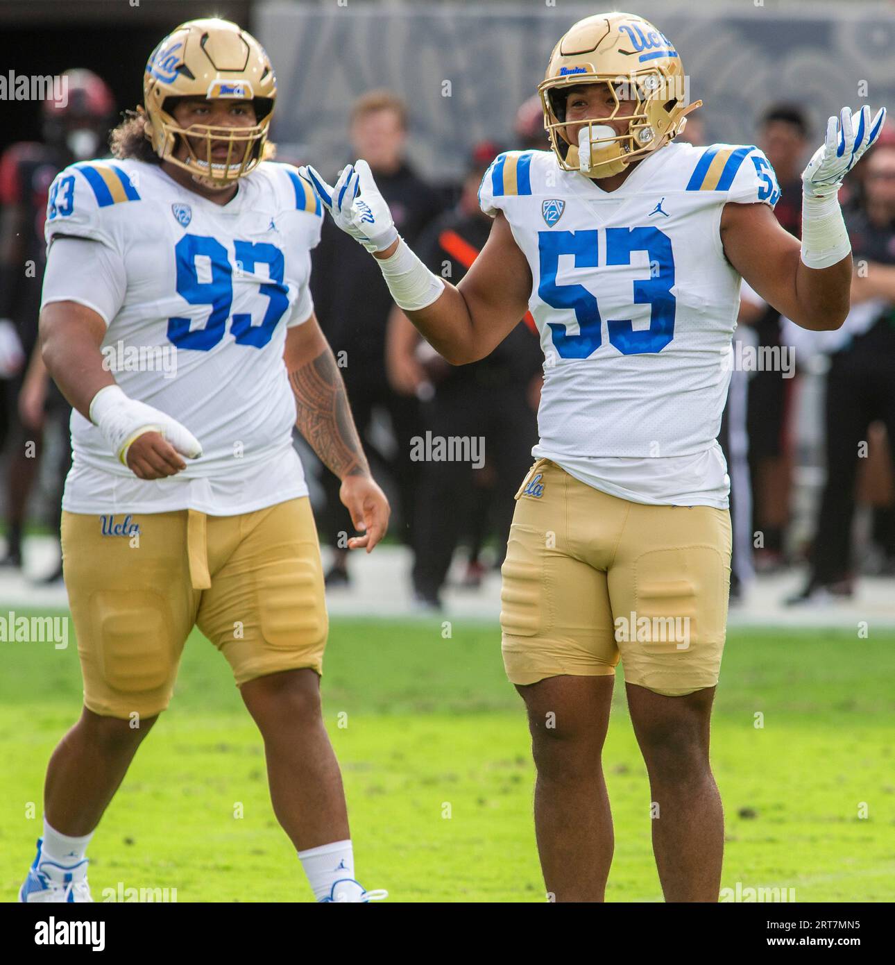 SAN DIEGO, CA - SEPTEMBER 09: UCLA linebacker Darius Muasau (53) reacts ...