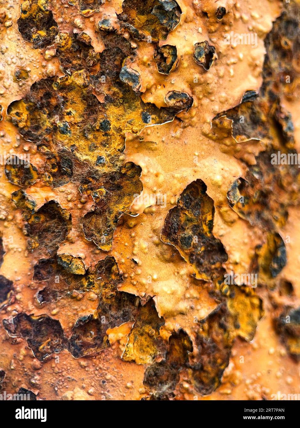 Old grunge rustic metal texture use for background. Rust of metals ...