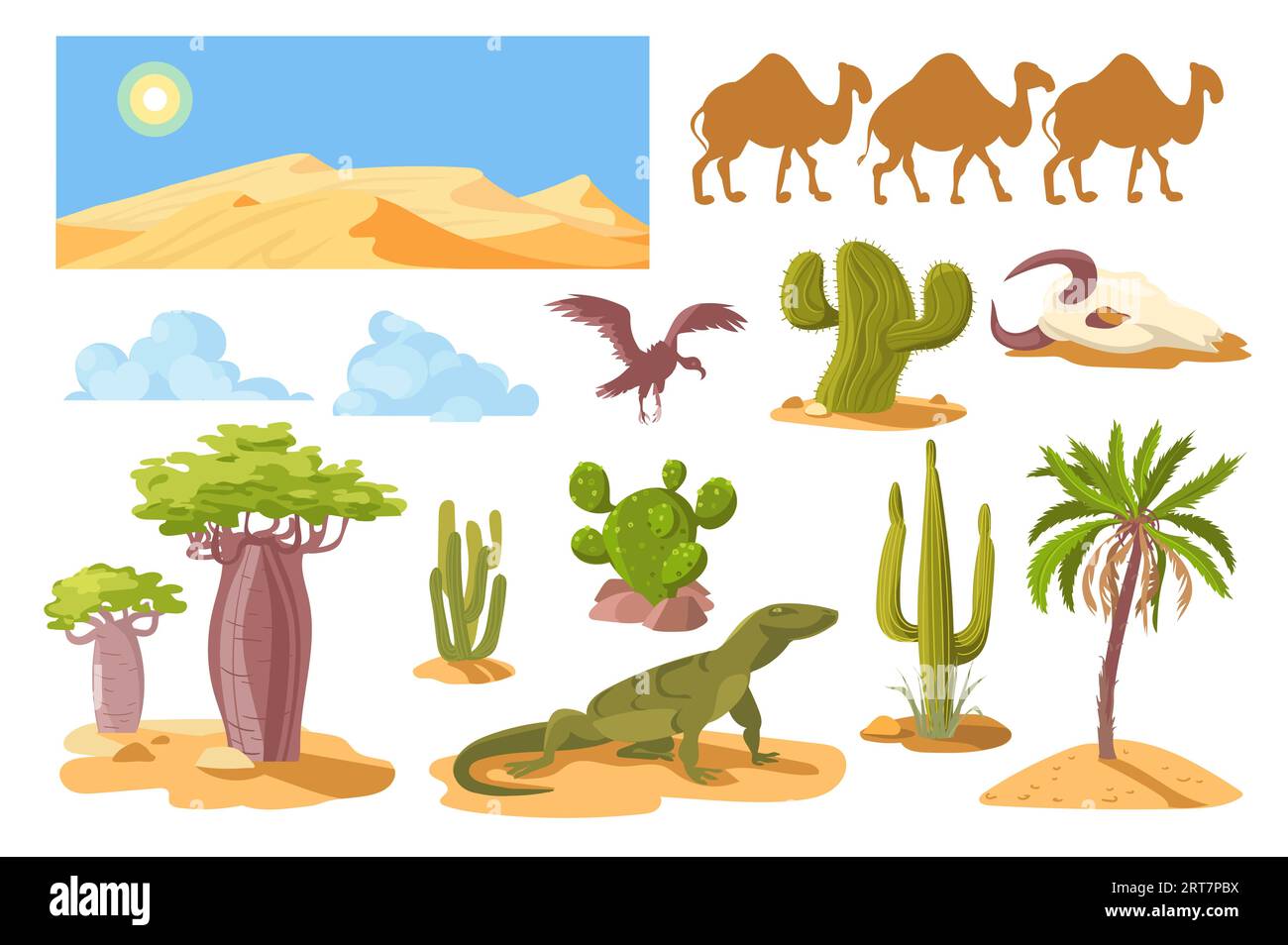 Desert Plants And Animals Desert Animals And Plants For Kids: Habitat