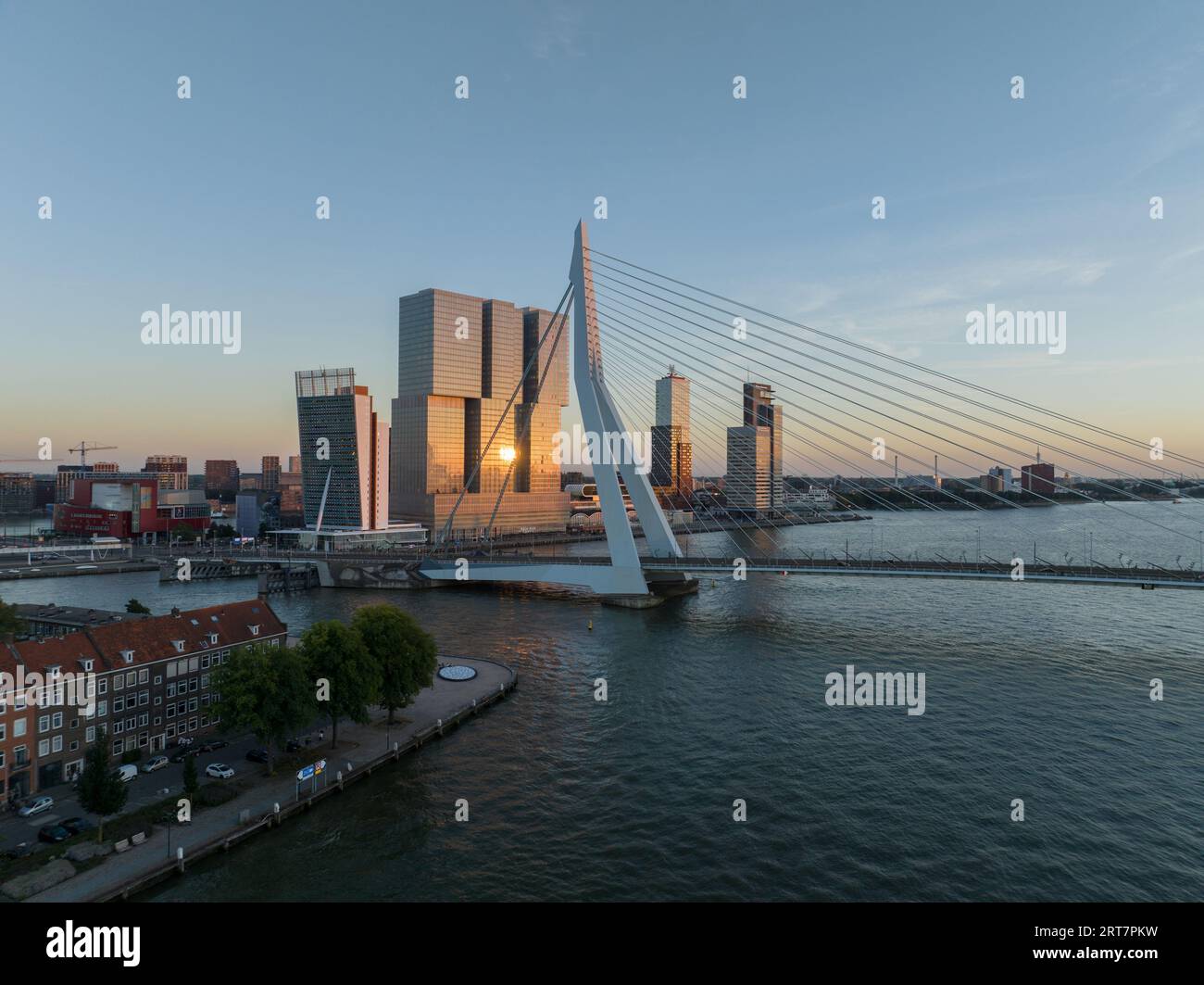 Aerial drone view of the Erasmusbridge at night, Erasmusbrug, cable ...