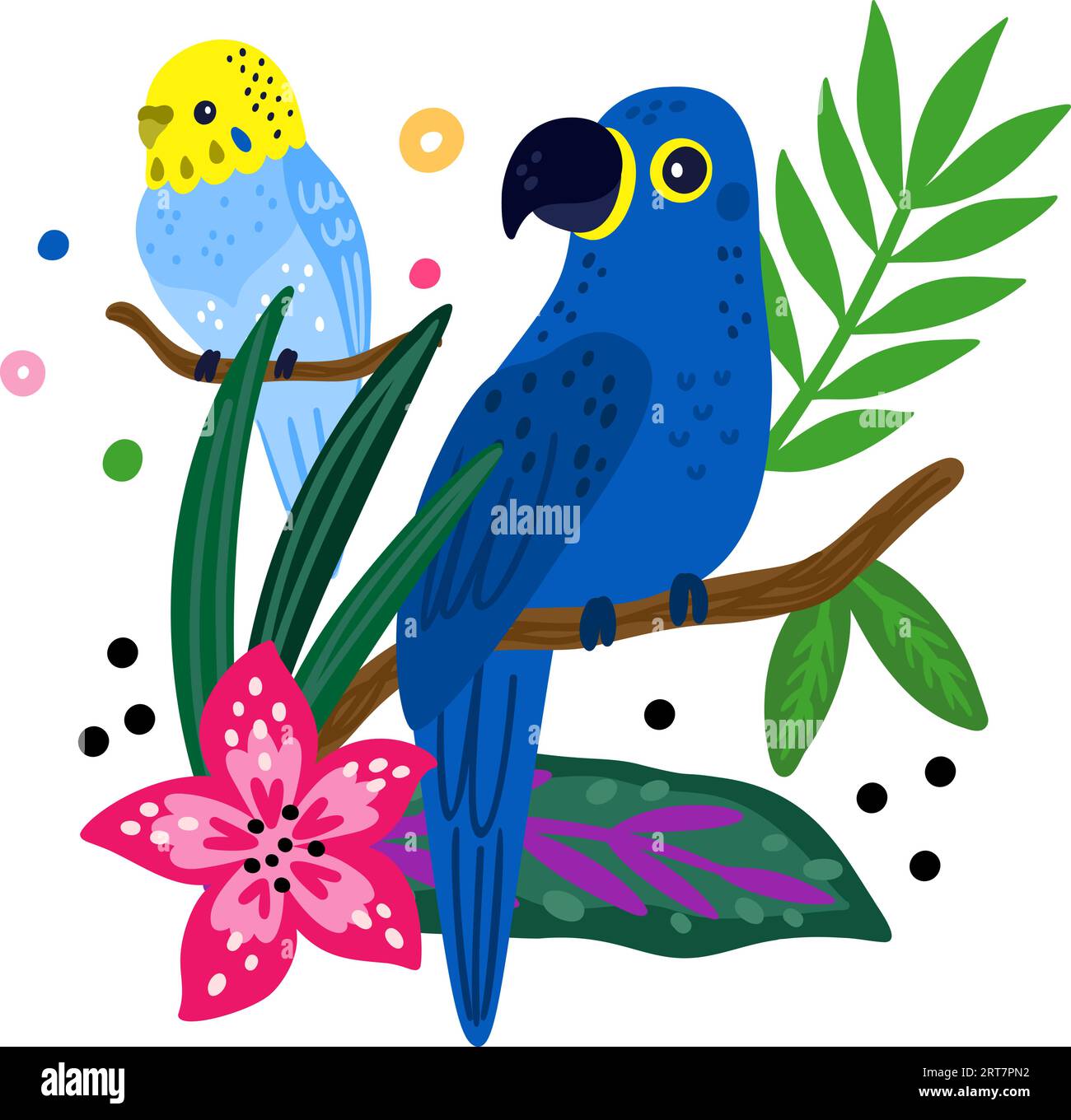 Tropical birds poster. Bright parrot and jungle plants. Funny ...