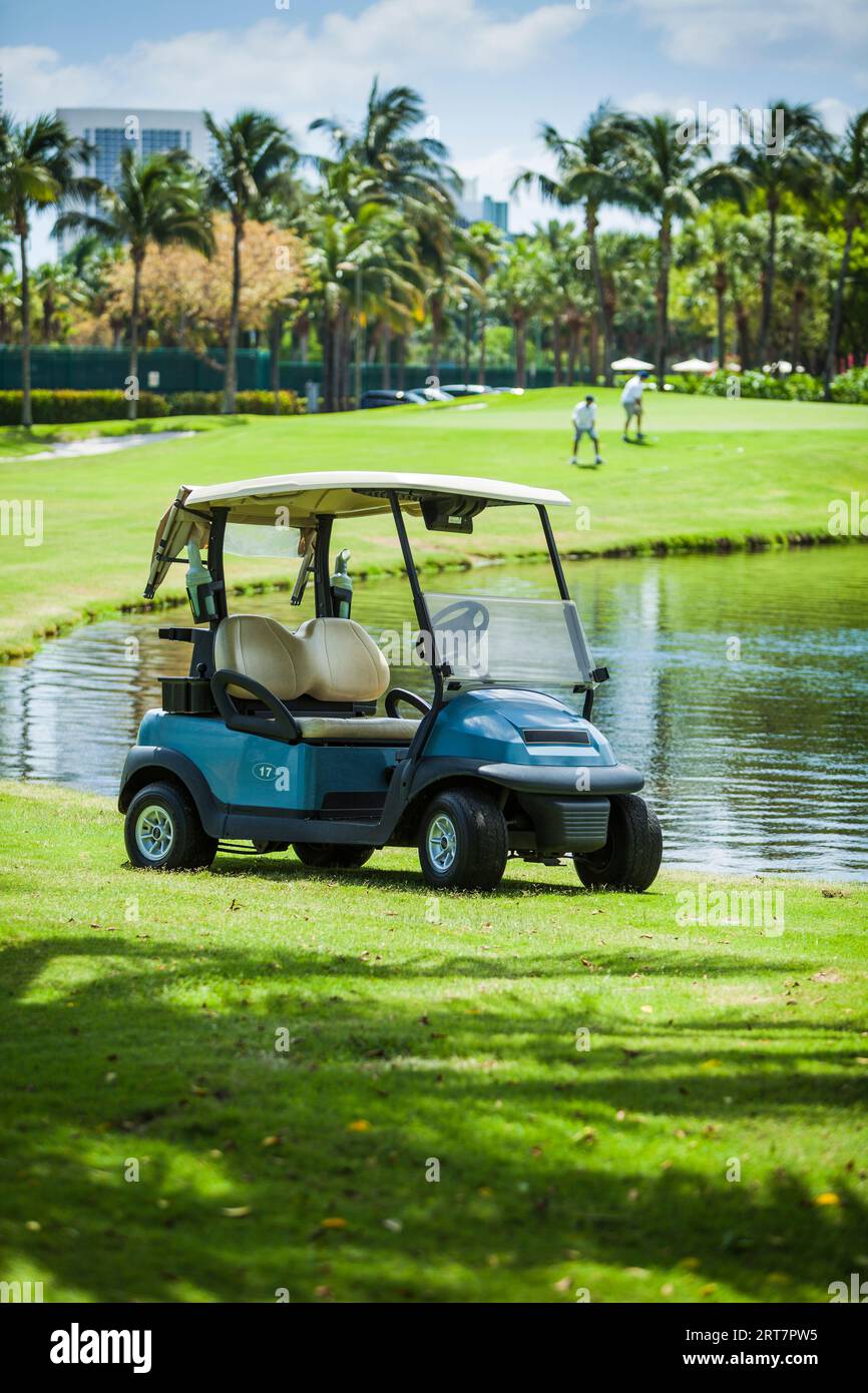 People in golf cart in a golf course, Miami, Florida, USA Stock Photo ...