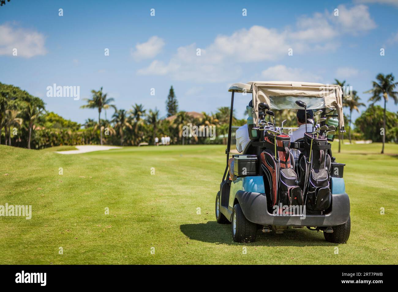 People in golf cart in a golf course, Miami, Florida, USA Stock Photo ...