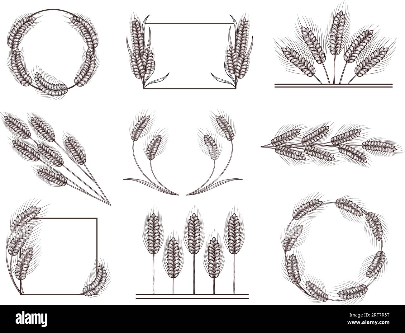 Hand drawn wheat decor. Ear of wheat frame, harvest border and divider ...