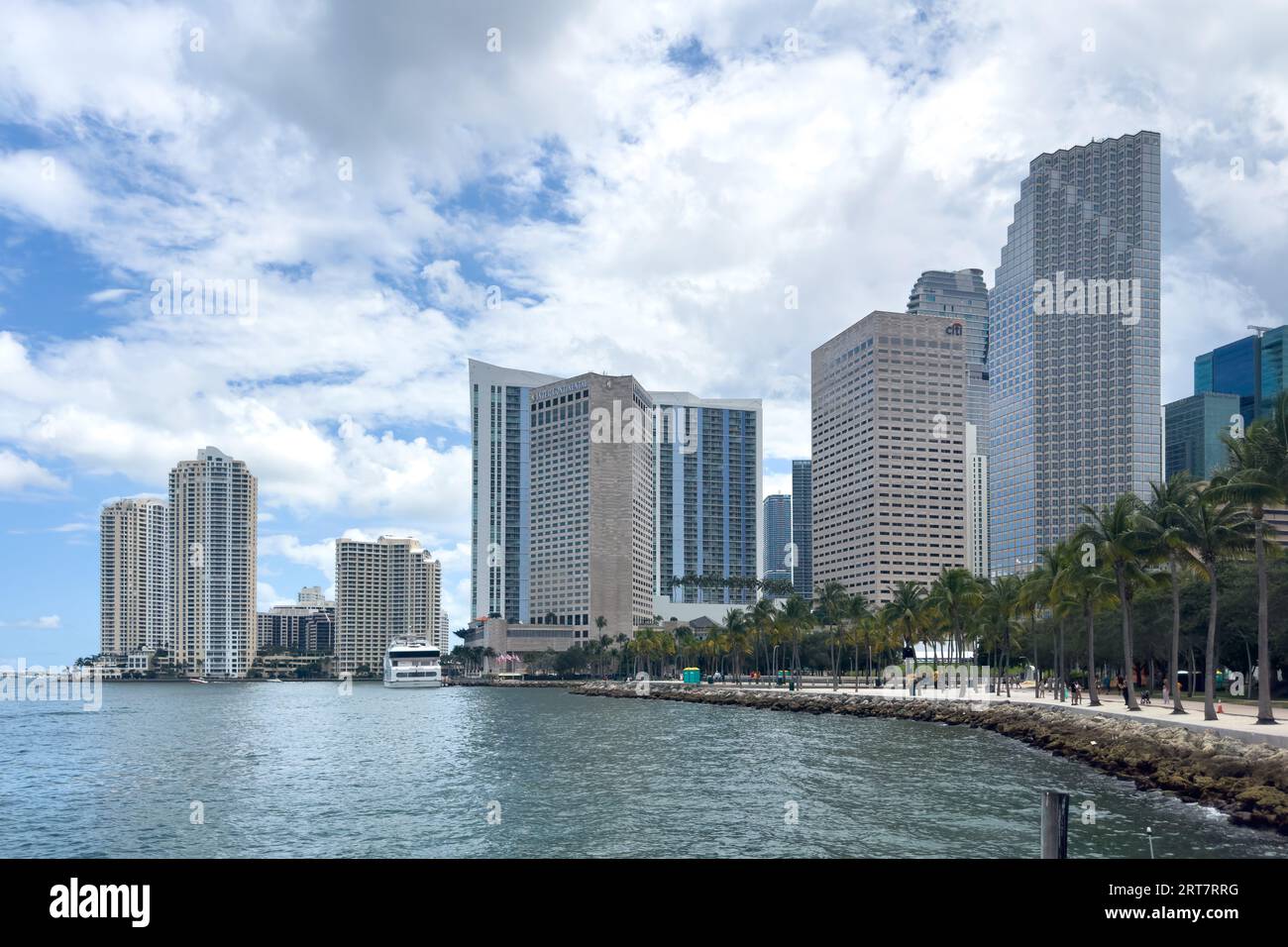 Miami, Florida - August 25th, 2023: Miami streets with large tropical ...