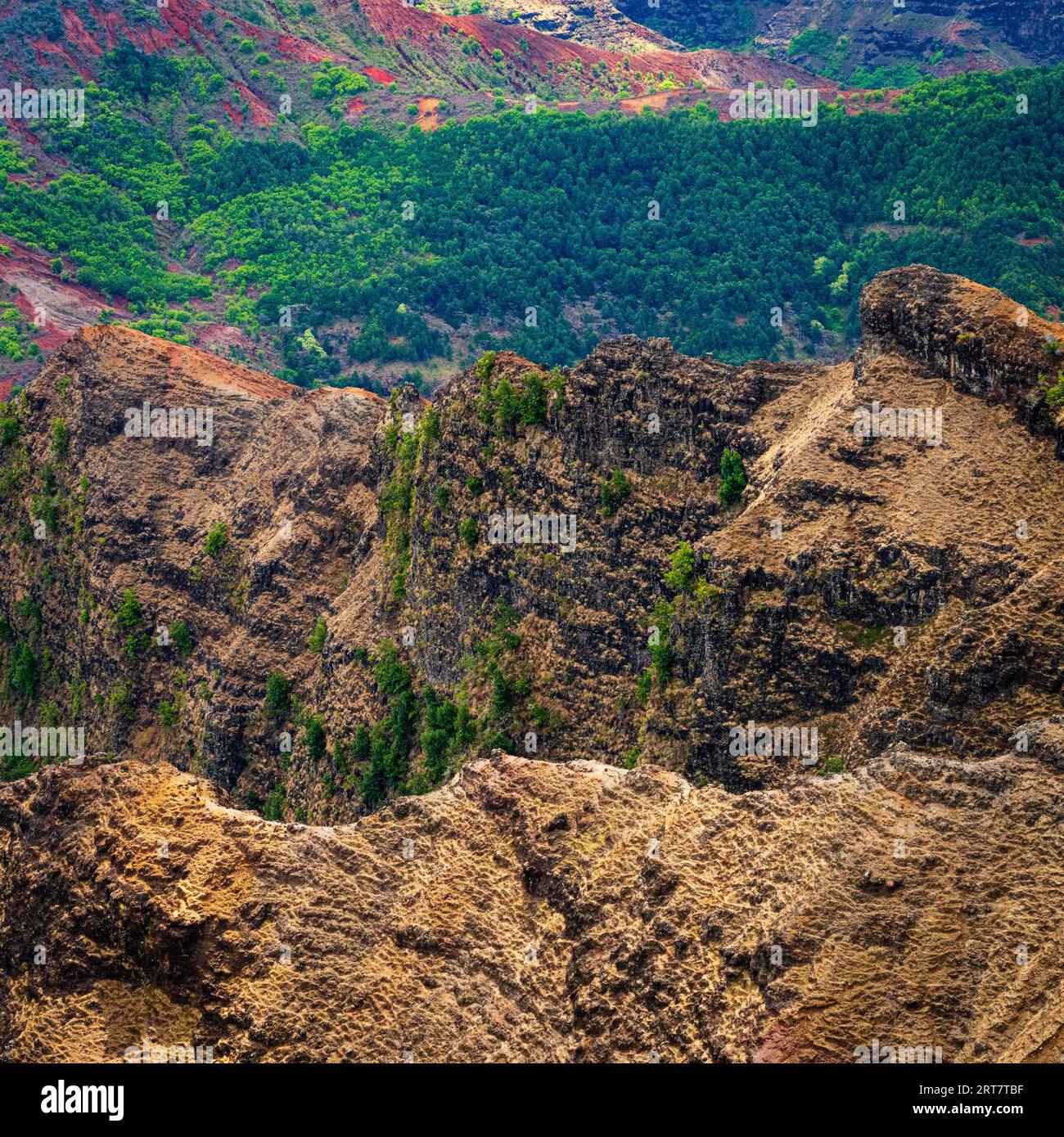 Lights and shadow from sunlight illuminate the dramatic colors and ...