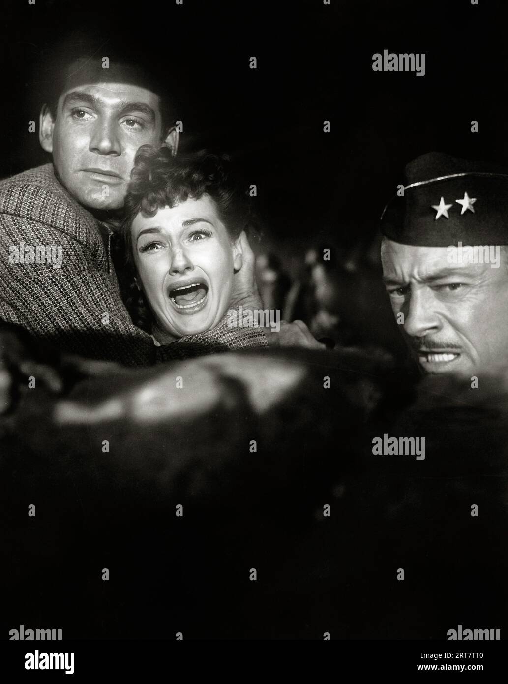 Les tremayne hi-res stock photography and images - Alamy