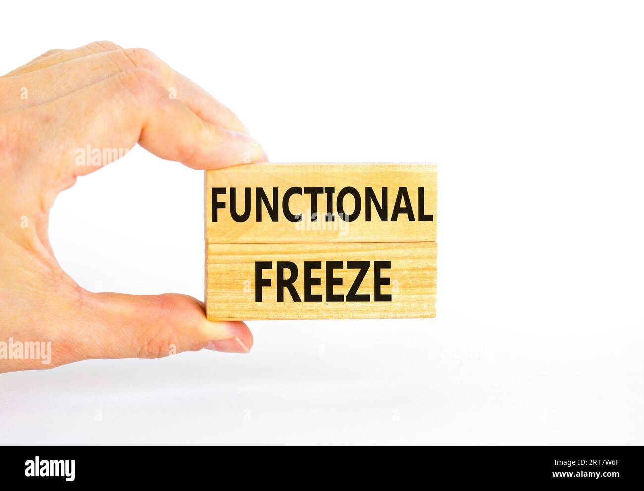Functional freeze symbol. Concept words Functional freeze on beautiful ...