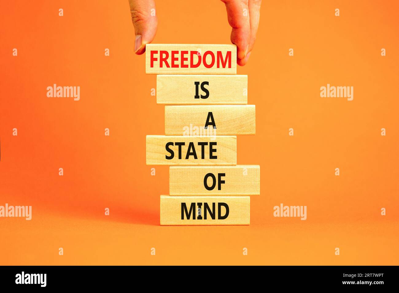Freedom in mind symbol. Concept words Freedom is a state of mind on ...