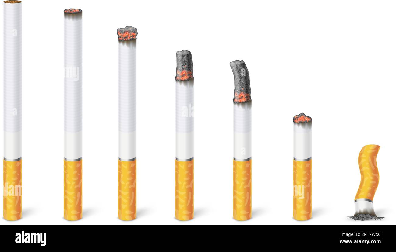 Cigarette burn stages. Tobacco burning process from new cigarette to ...