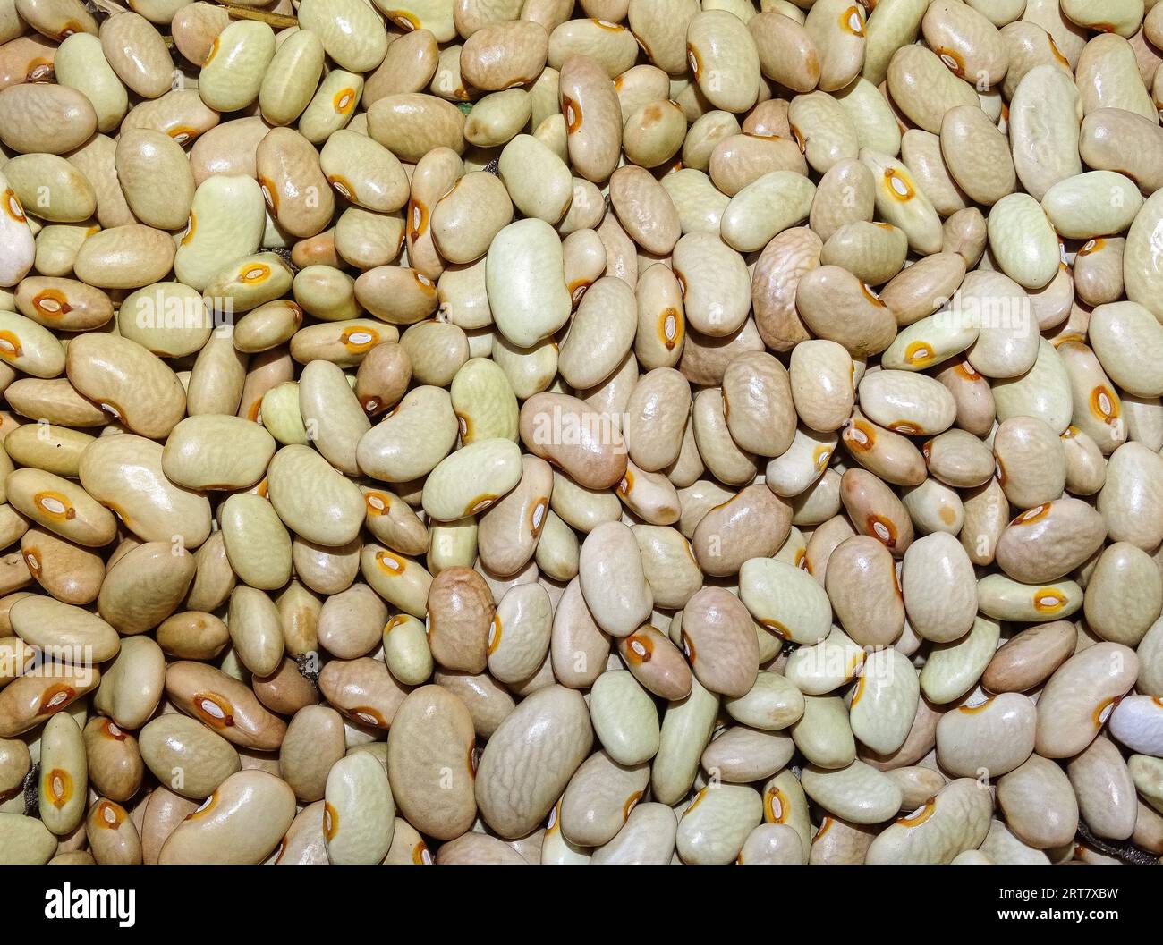 Pile of raw beans. Beans background Stock Photo - Alamy