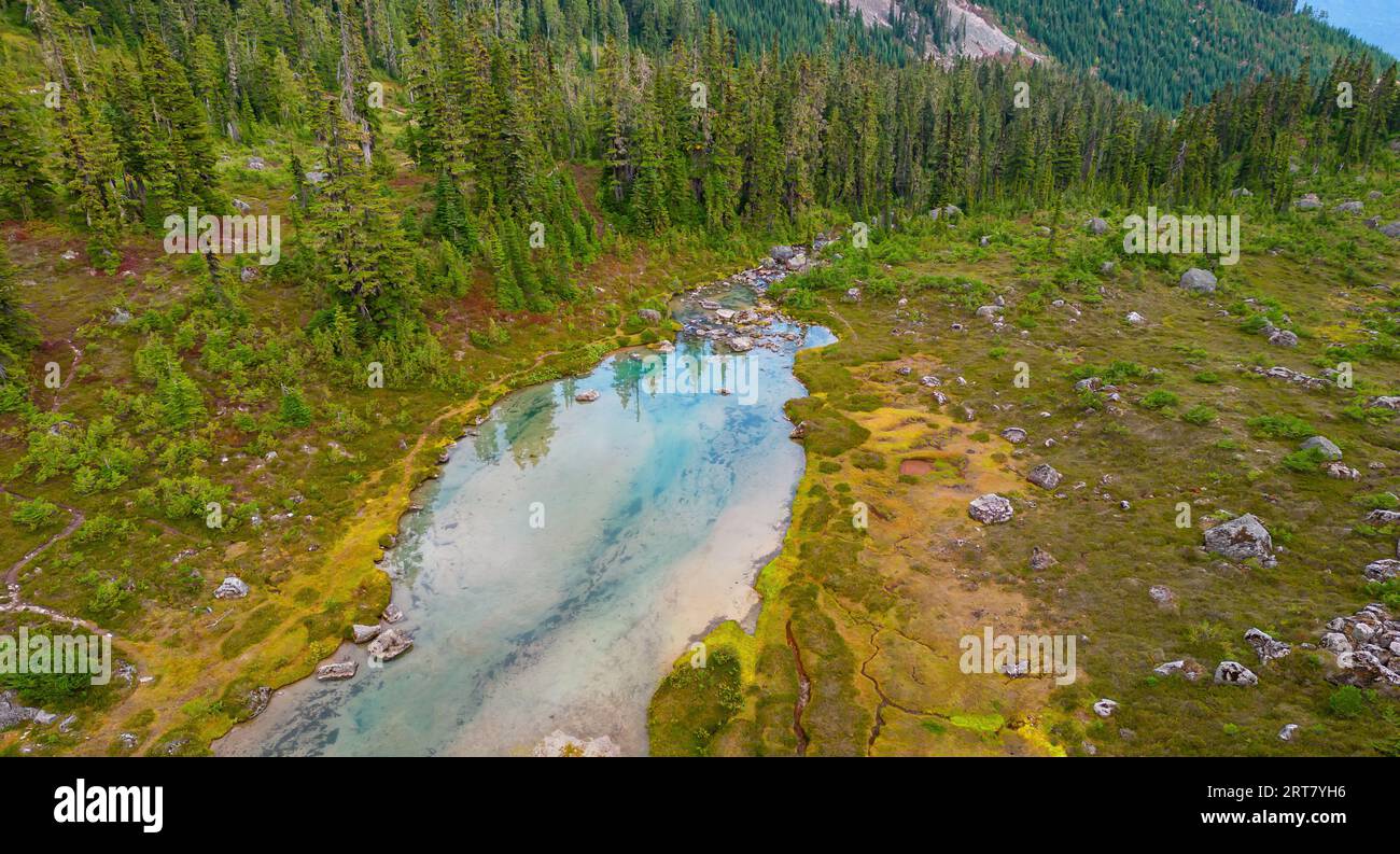 Aerial View of River in Vibrant Green Meadows in the Canadian Mountain ...