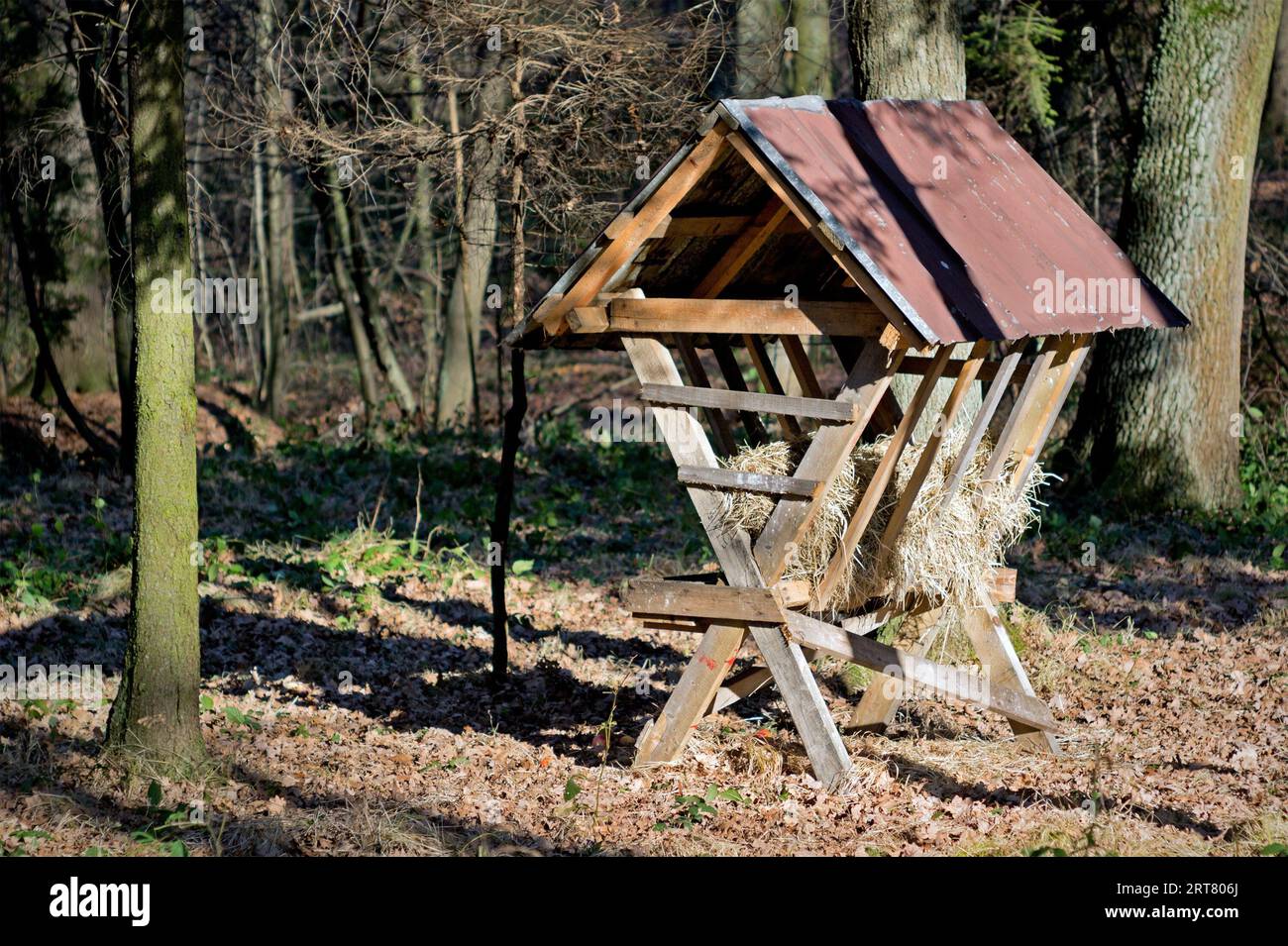 Feeder rack hi-res stock photography and images - Alamy