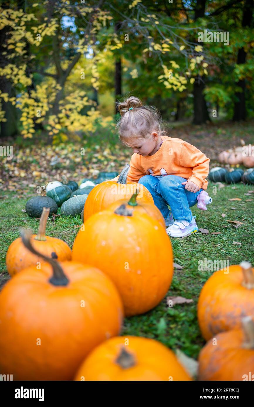 Cute little girl having fun with huge pumpkins on a pumpkin patch. Kid ...
