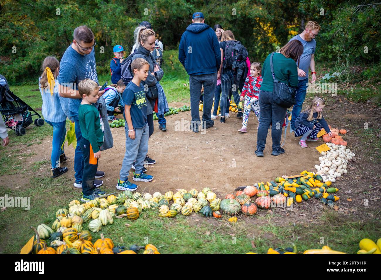 Prague, Czech Republic - October 16, 2022: Pumpkin exhibition and other ...