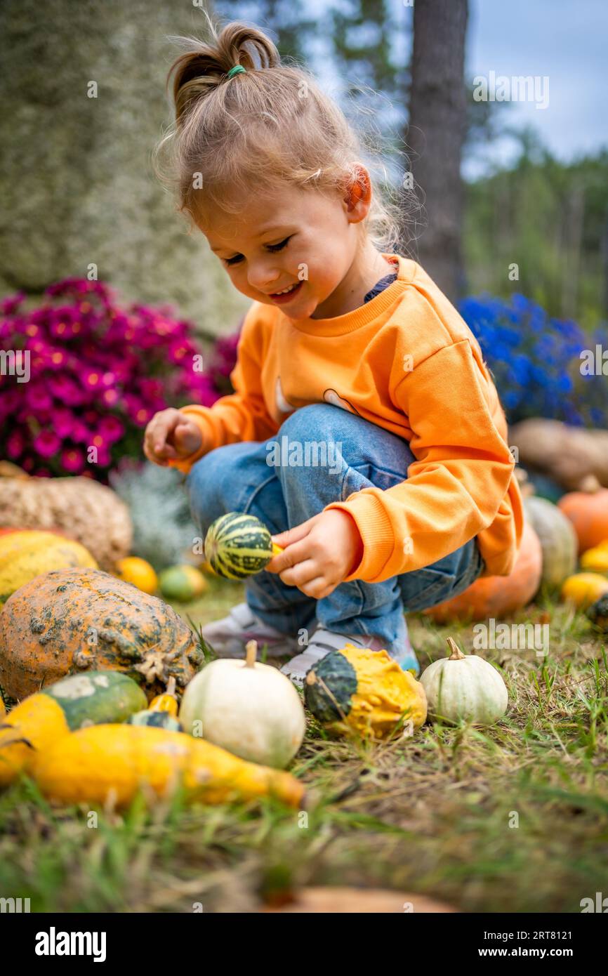 Cute little girl having fun with huge pumpkins on a pumpkin patch. Kid ...