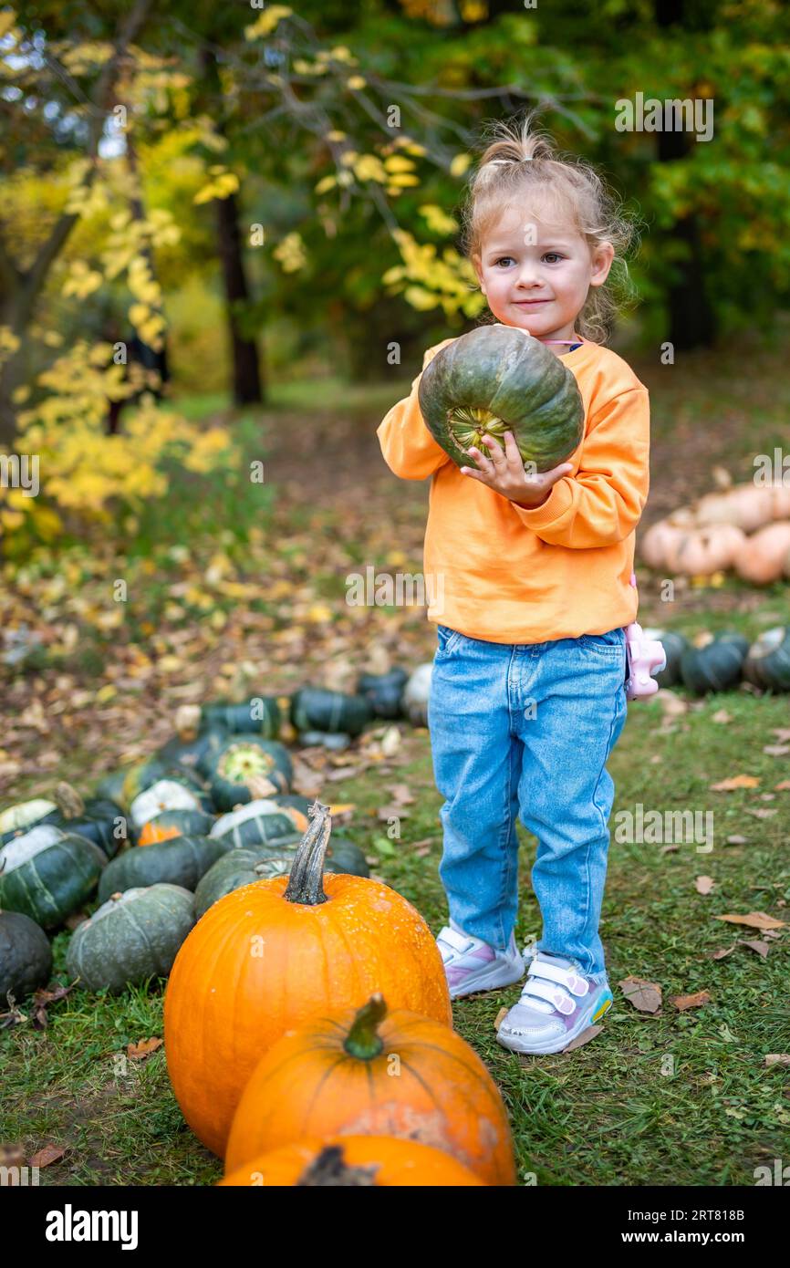 Cute little girl having fun with huge pumpkins on a pumpkin patch. Kid ...