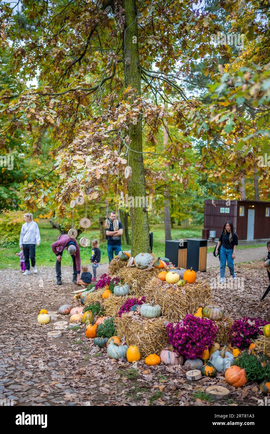Prague, Czech Republic - October 16, 2022: Pumpkin exhibition and other ...