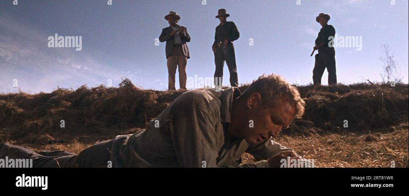 Los Angeles.CA.USA. Paul Newman, with Strother Martin in ©Warner Bros ...