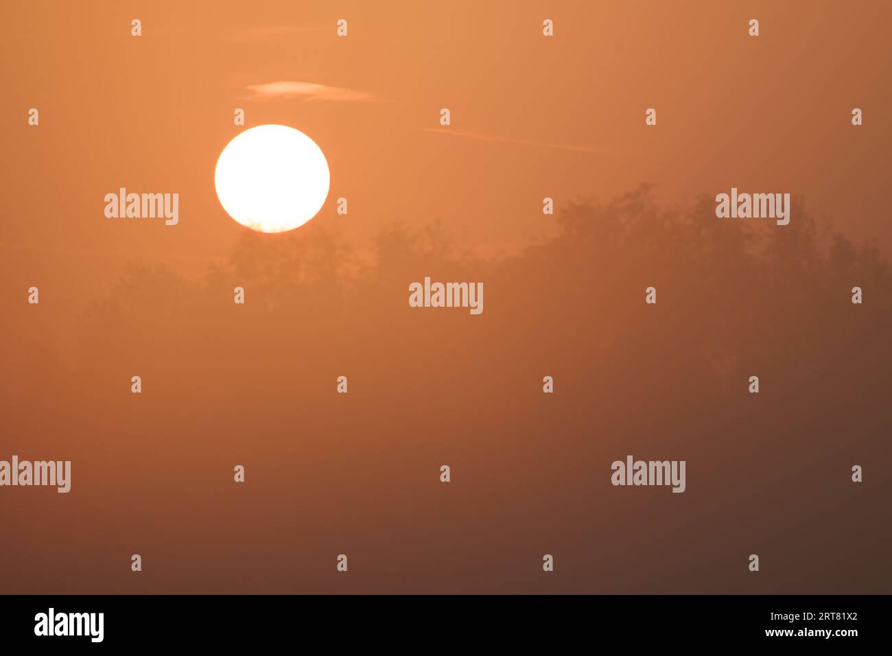 Sunrise valley with beautiful sun light and scenic trees hi-res stock ...