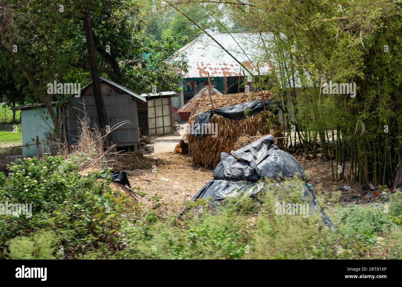 Agricultural Straw gathered outside house of a rural village Stock ...