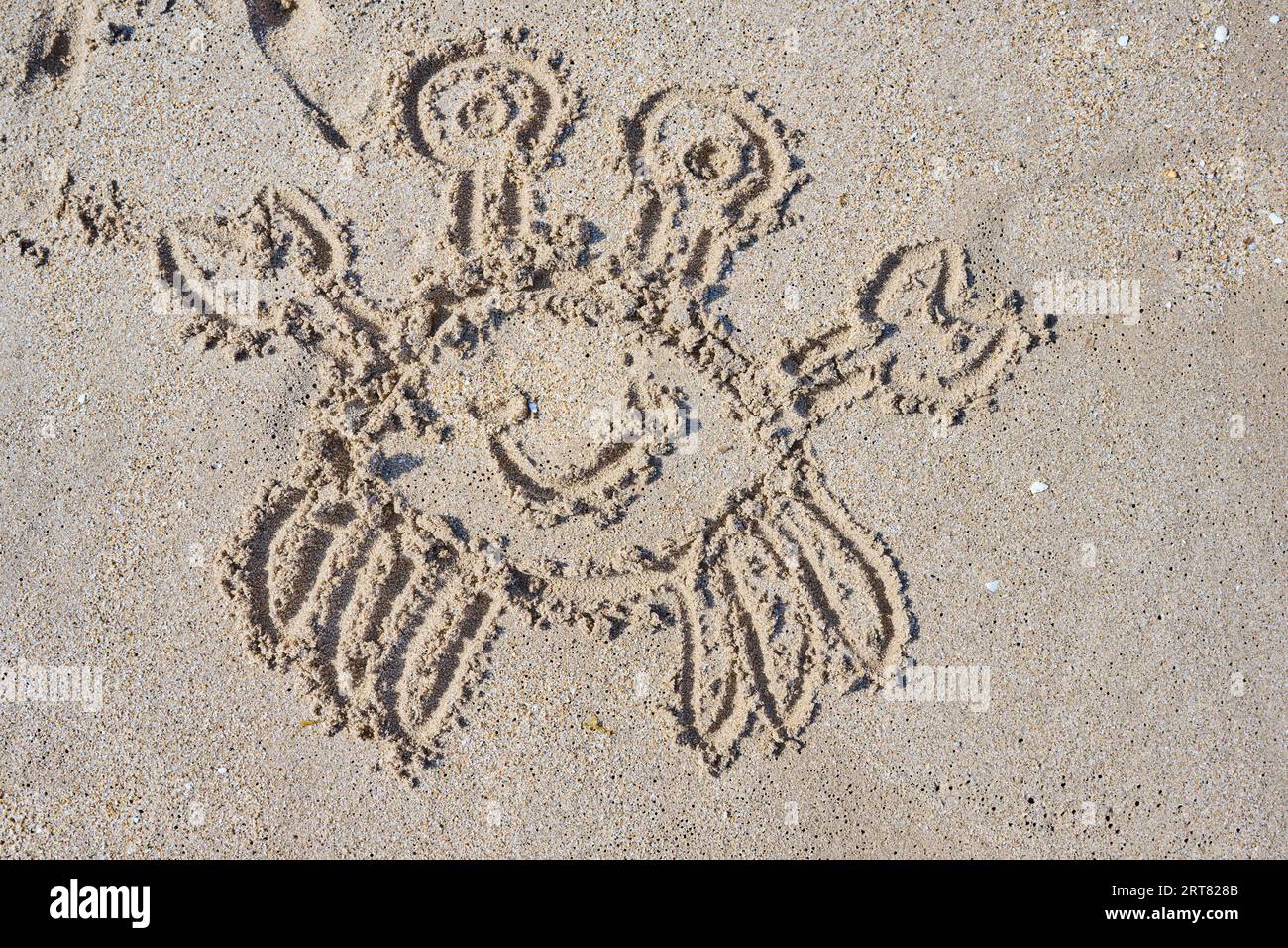 Crustacean drawing hi-res stock photography and images - Alamy