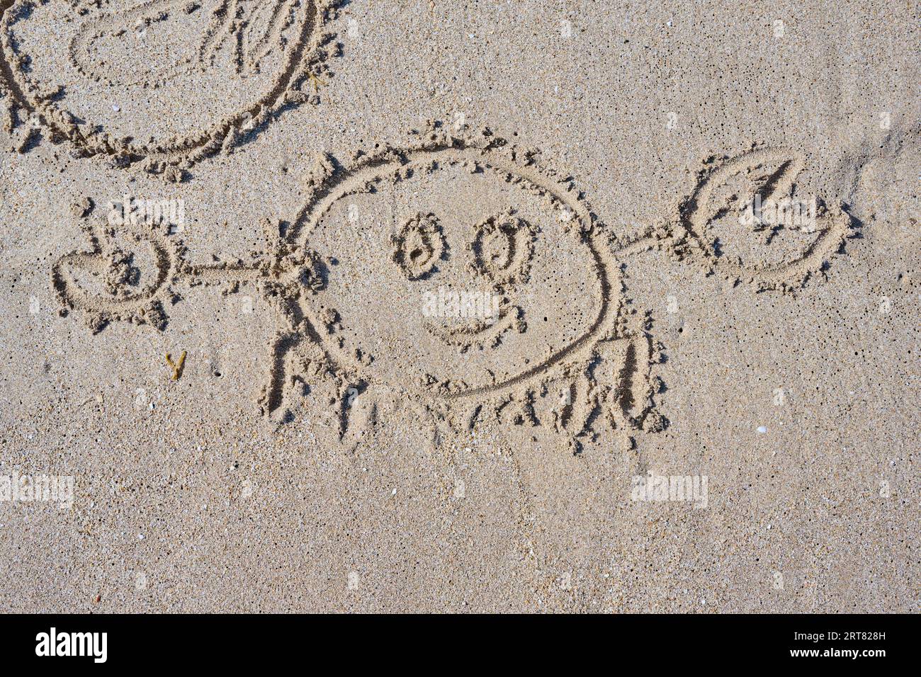 Crustacean drawing hi-res stock photography and images - Alamy