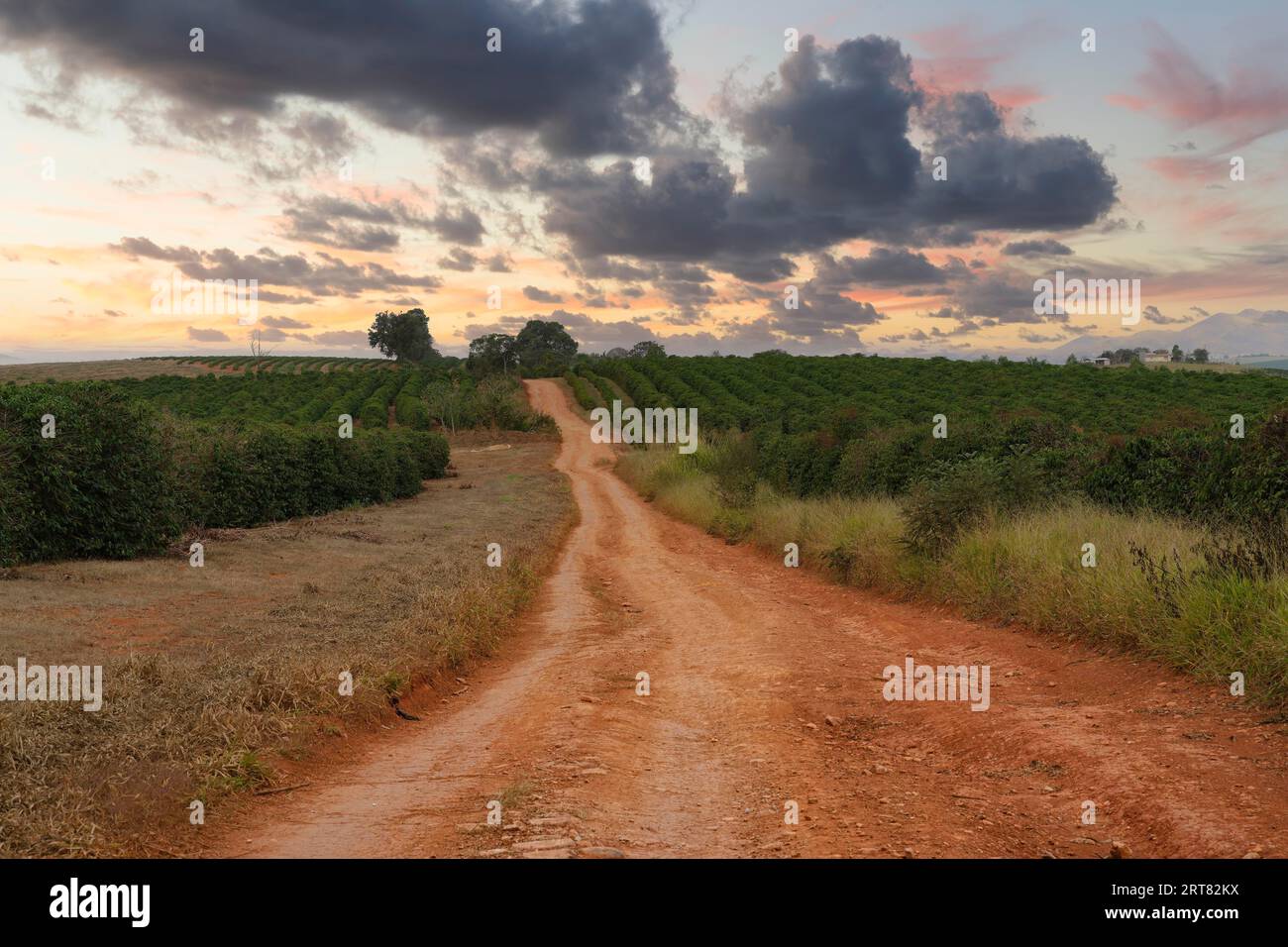 Red soil road, Serra da Canastra landscape, Minas Gerais state, Brazil ...