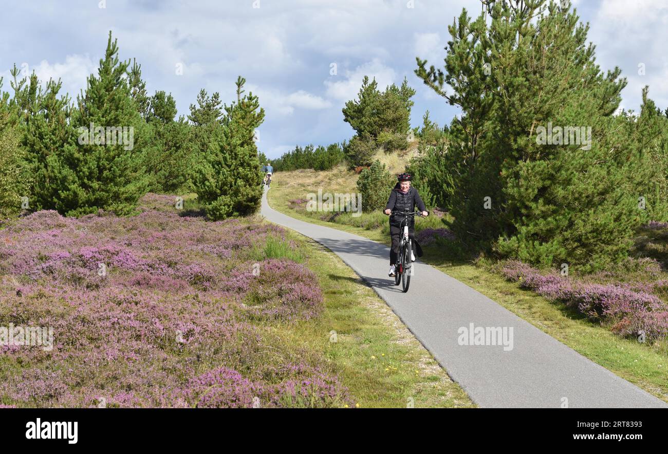 Woman riding a bicycle in a heath landscape, Denmark Stock Photo - Alamy