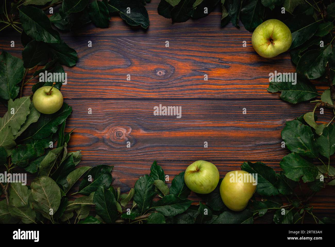 Frame of apple tree leaves and apples on wood, copying room Stock Photo ...