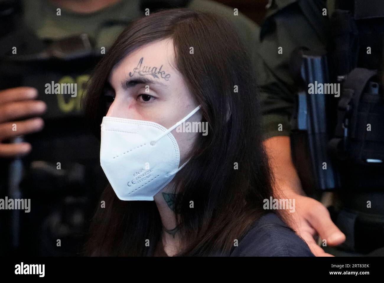 Robert E. Crimo III, appears before Judge Victoria A. Rossetti in Lake ...