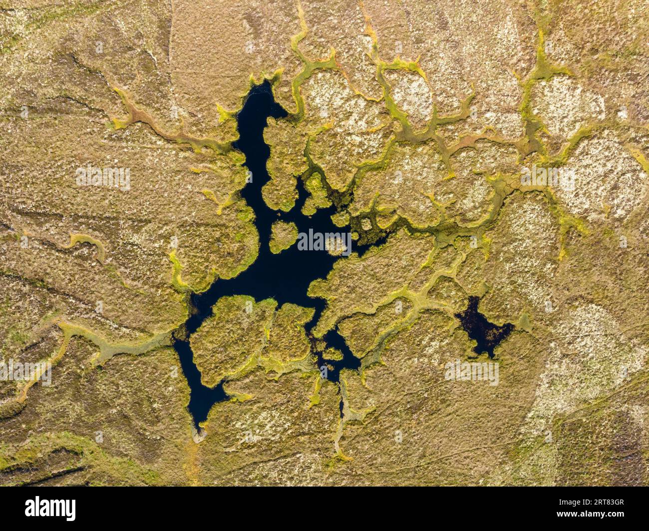 Aerial view of a marshland on the north-east coast of Scotland, County ...