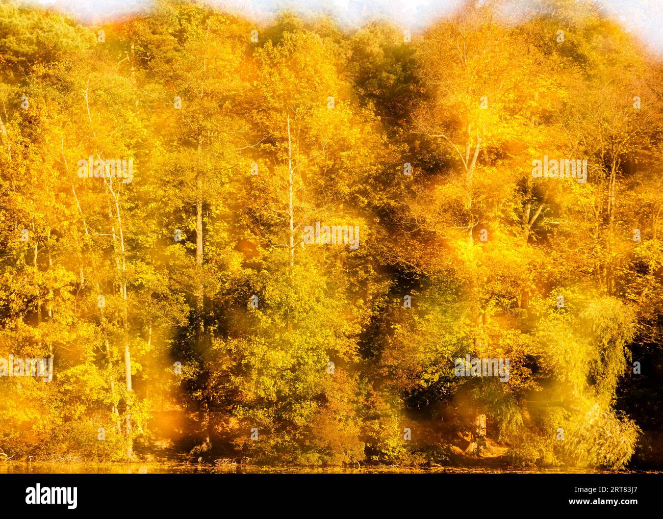 Herbst in berlin hi-res stock photography and images - Alamy