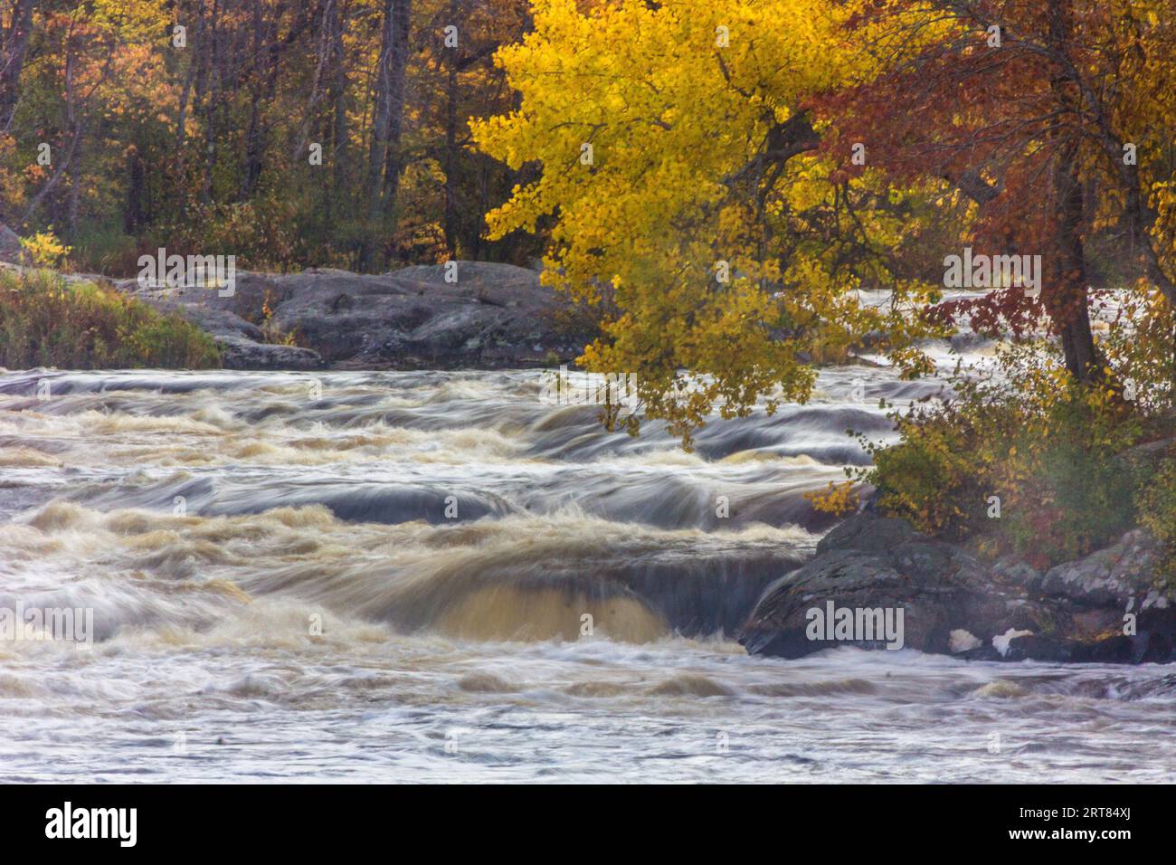Salmon Falls on the St. Croix River, New Brunswick, Canada, in autumn ...