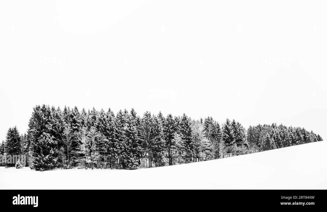 Season contrast Cut Out Stock Images & Pictures - Alamy