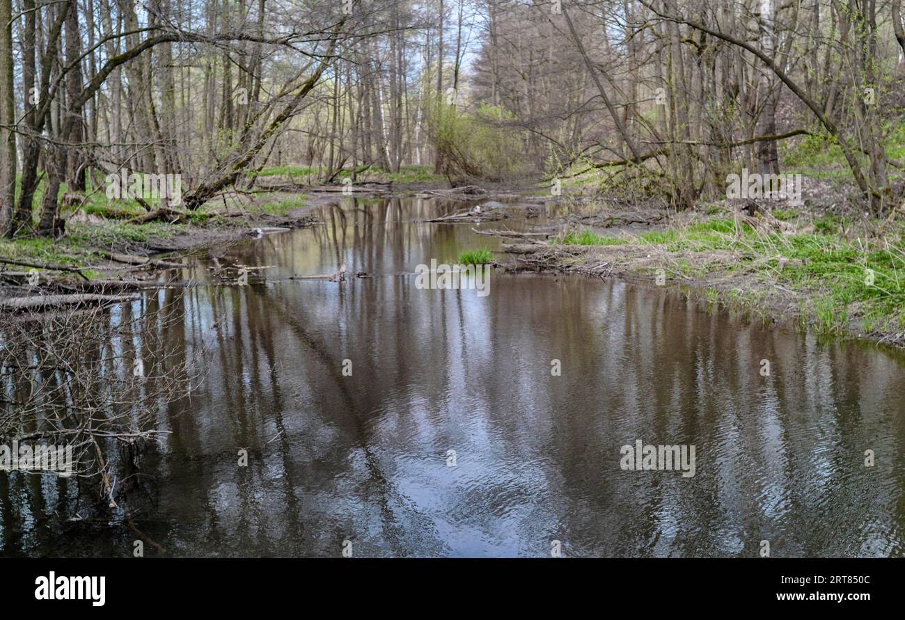 Natural flow hi-res stock photography and images - Alamy
