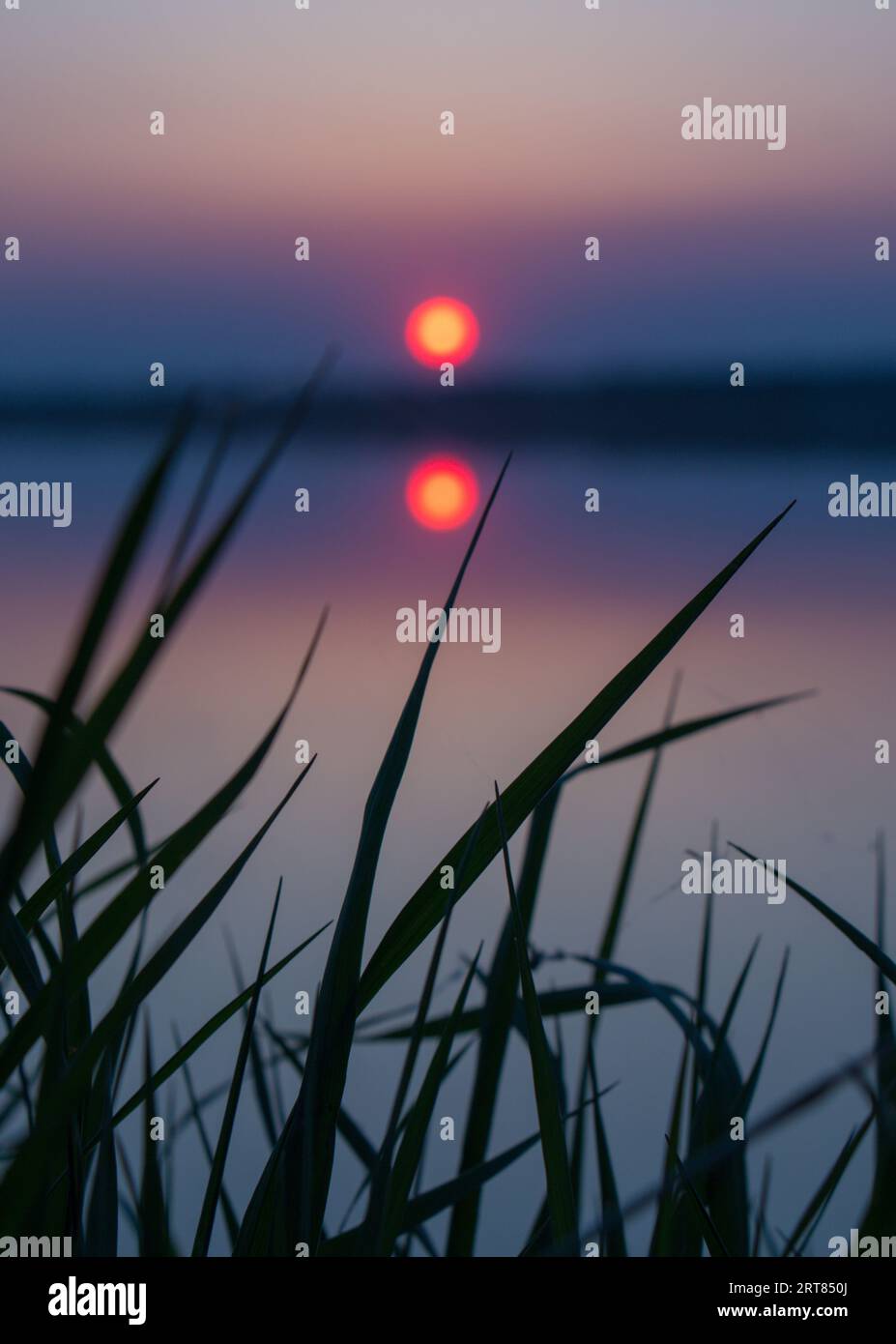 Beautiful sunset at the lake. Reflection of the setting red sun in the ...