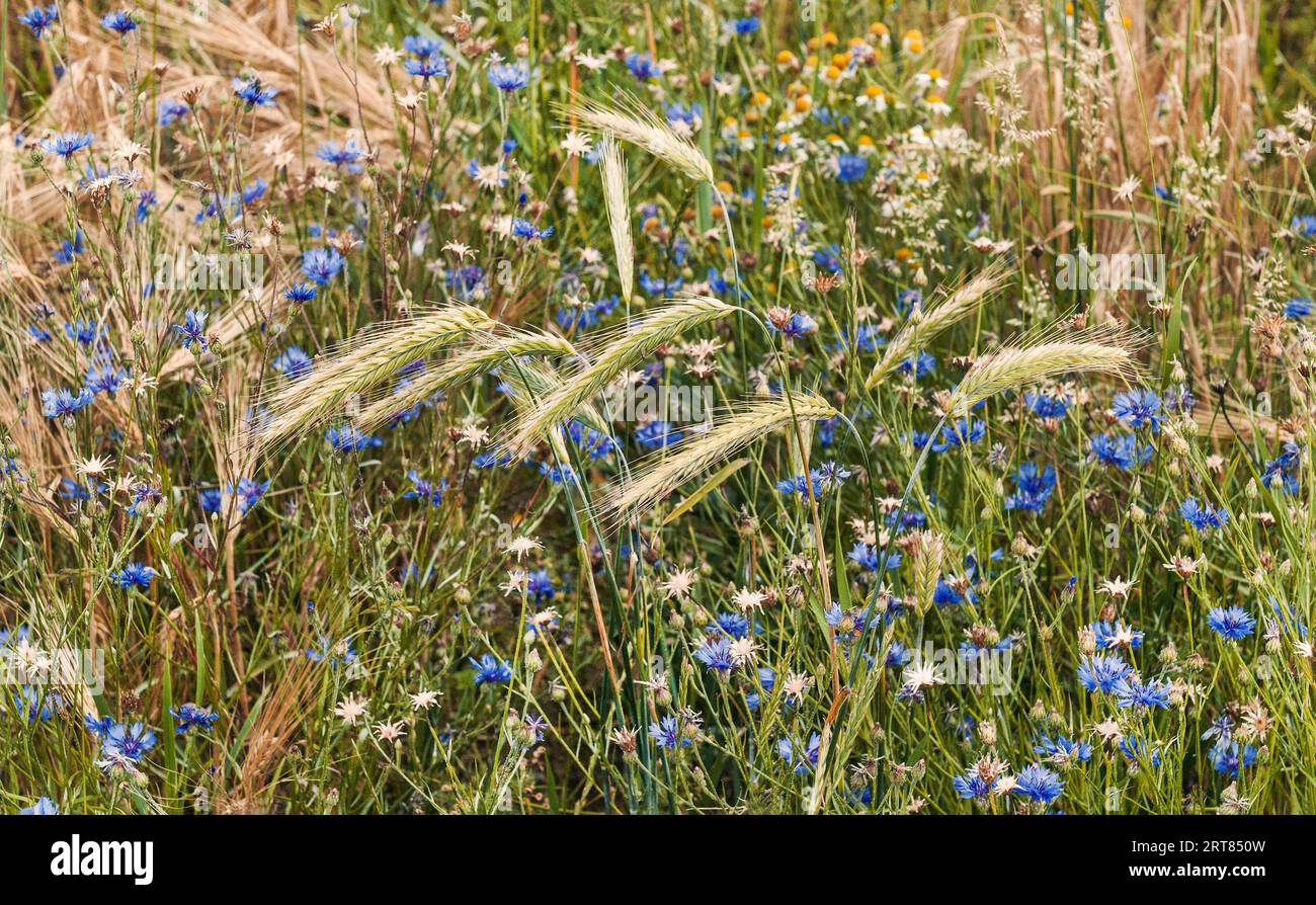 Boundary ridge hi-res stock photography and images - Alamy