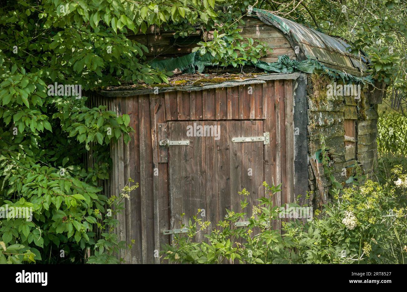 The old shed Stock Photo - Alamy