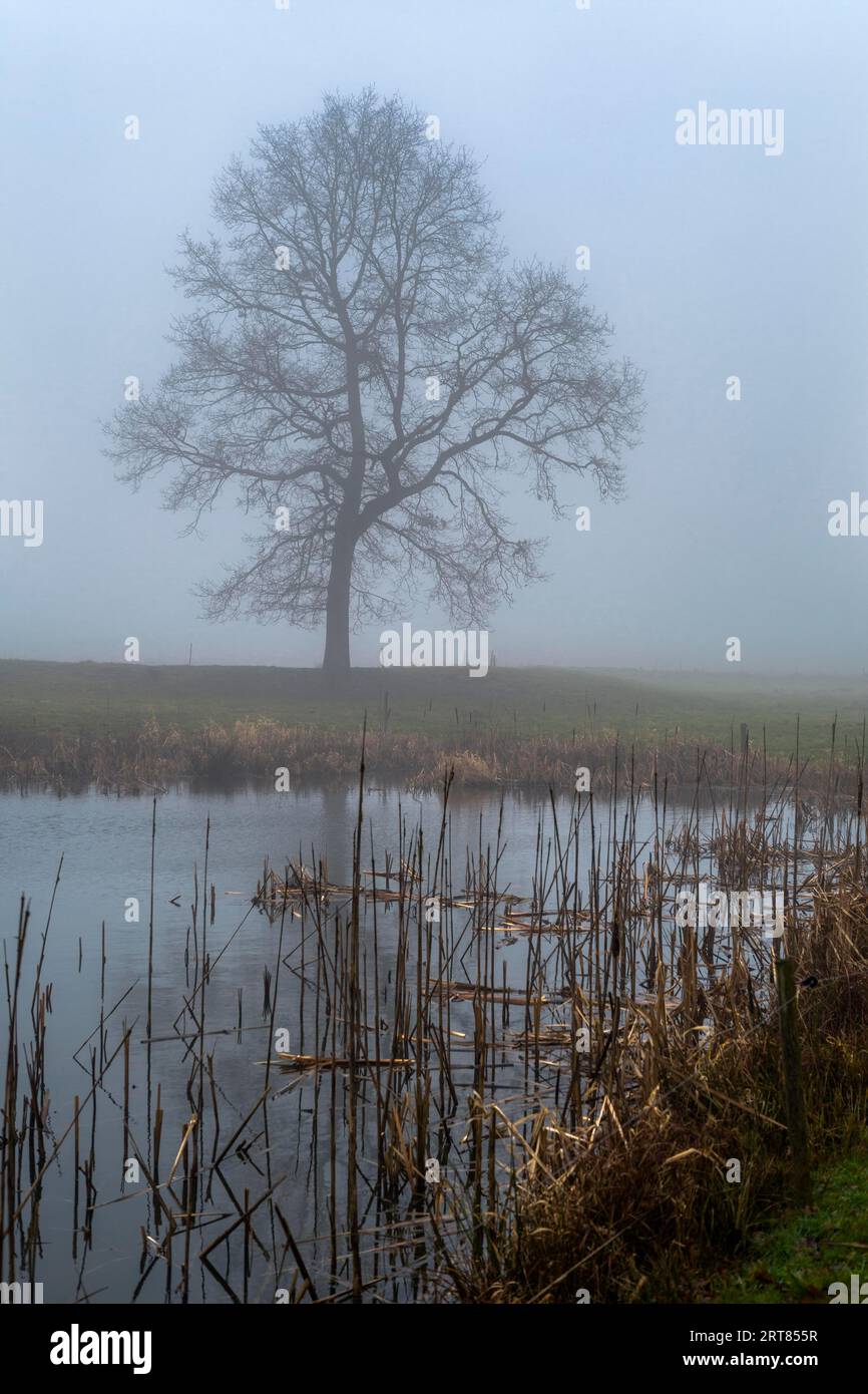 The landscape conservation area Stock Photo - Alamy
