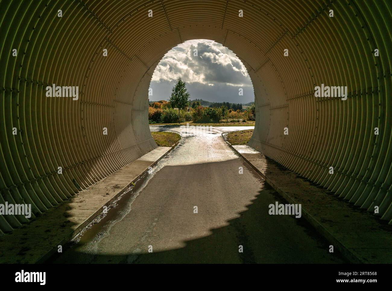 Color tunnel hi-res stock photography and images - Alamy