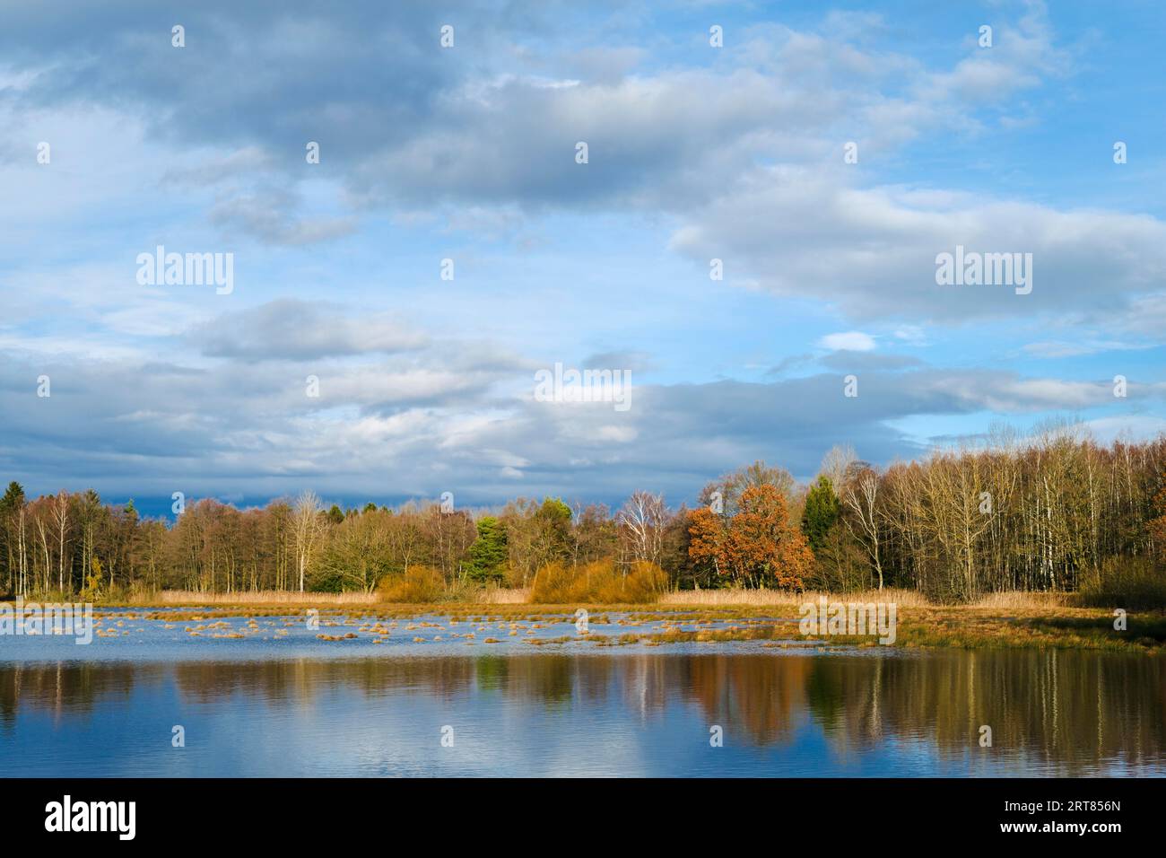 The landscape conservation area Stock Photo - Alamy