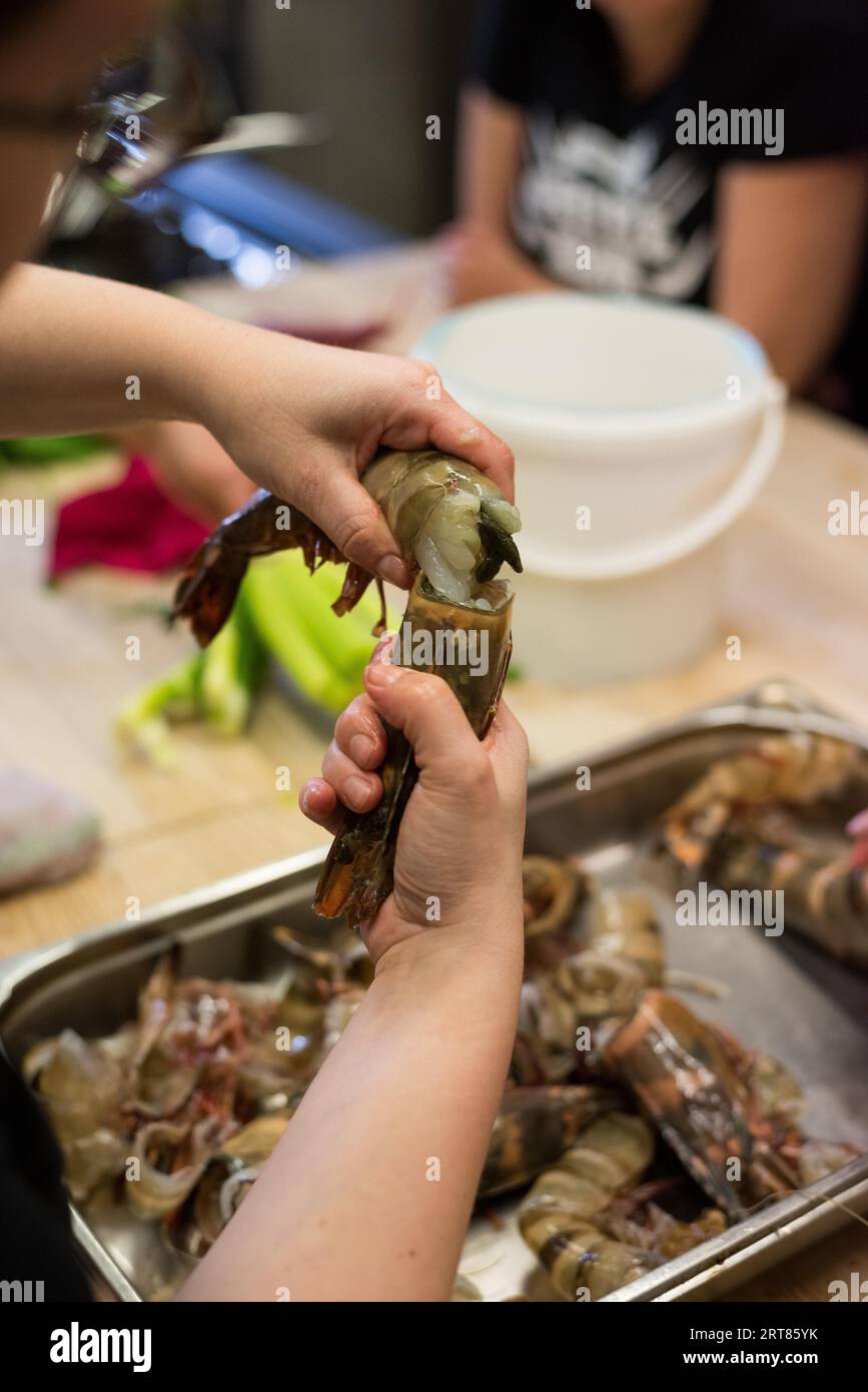 Human hands breaking up shell of Norway lobster in kitchen during ...