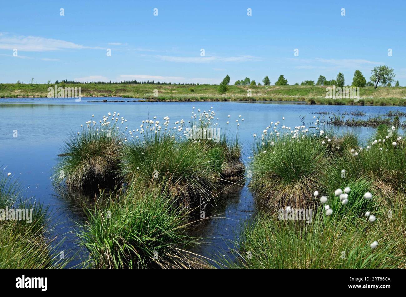Fens plateau hi-res stock photography and images - Alamy