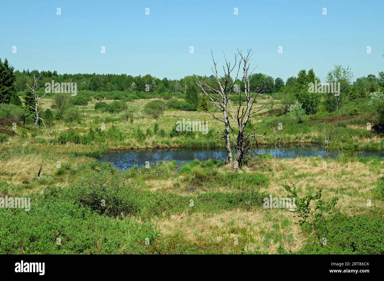 Fens plateau hi-res stock photography and images - Alamy