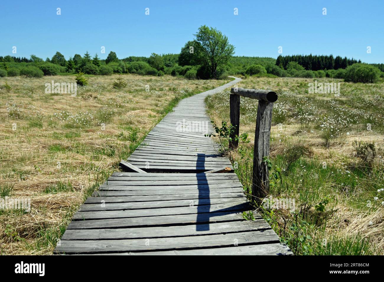 High eifel hi-res stock photography and images - Alamy