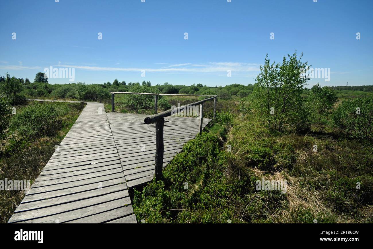 High Fens in the West Eifel Stock Photo - Alamy